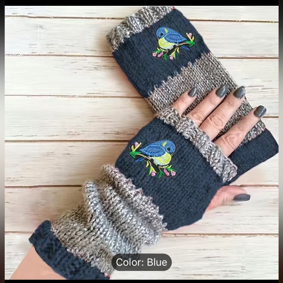 Accessories | New Bird Embroidered Gloves Color Block Stretchy Knit ...